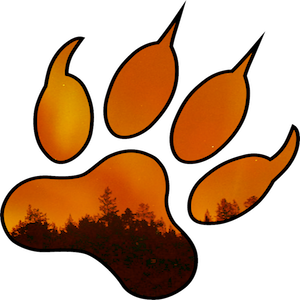 Training at Alaska Dog Works – Alaska Dog Works