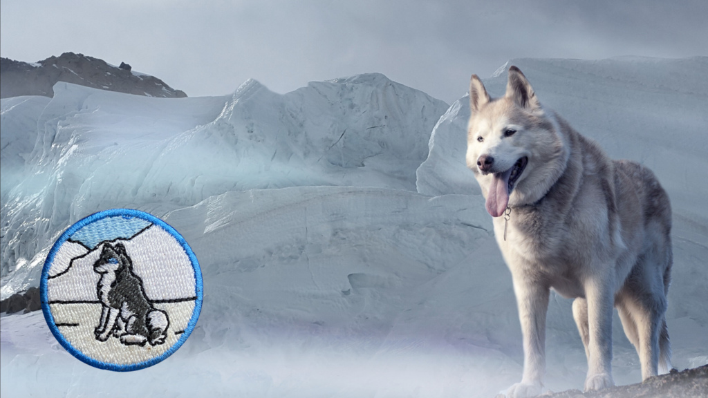 Adventure Dog Club - Alaska Dog Works