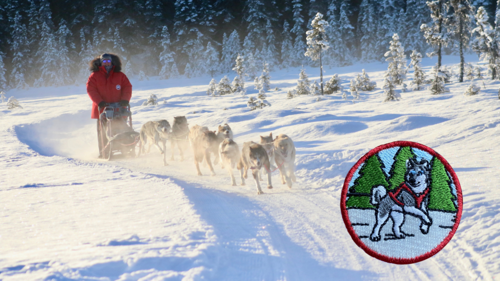 Adventure Dog Club - Alaska Dog Works