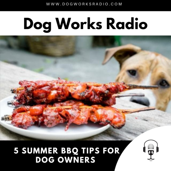 5 Summer BBQ Safety Tips for Dog Owners – Alaska Dog Works