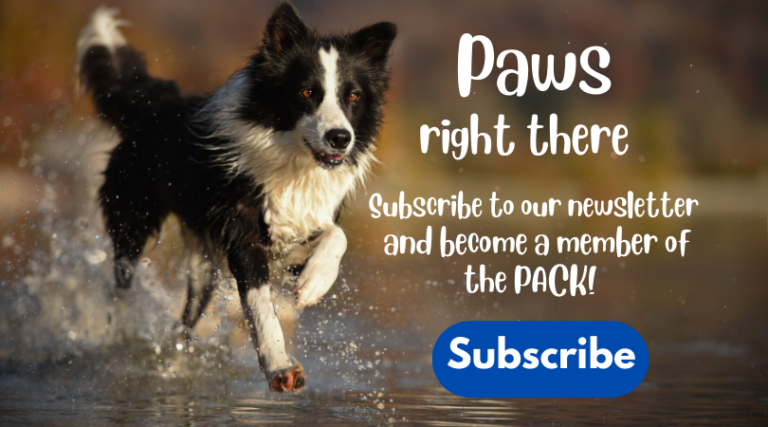 Kugsha Dog Breed: A Practical Profile for Prospective Owners - Alaska ...