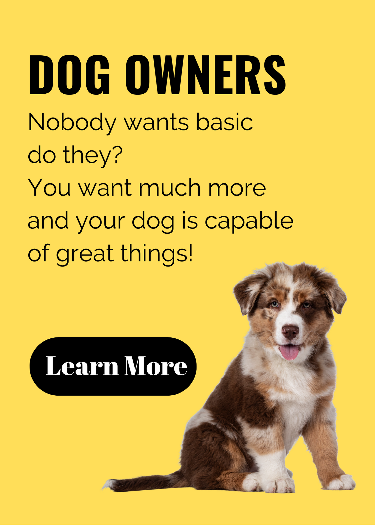 10 Sounds your Dog will Love! - Alaska Dog Works