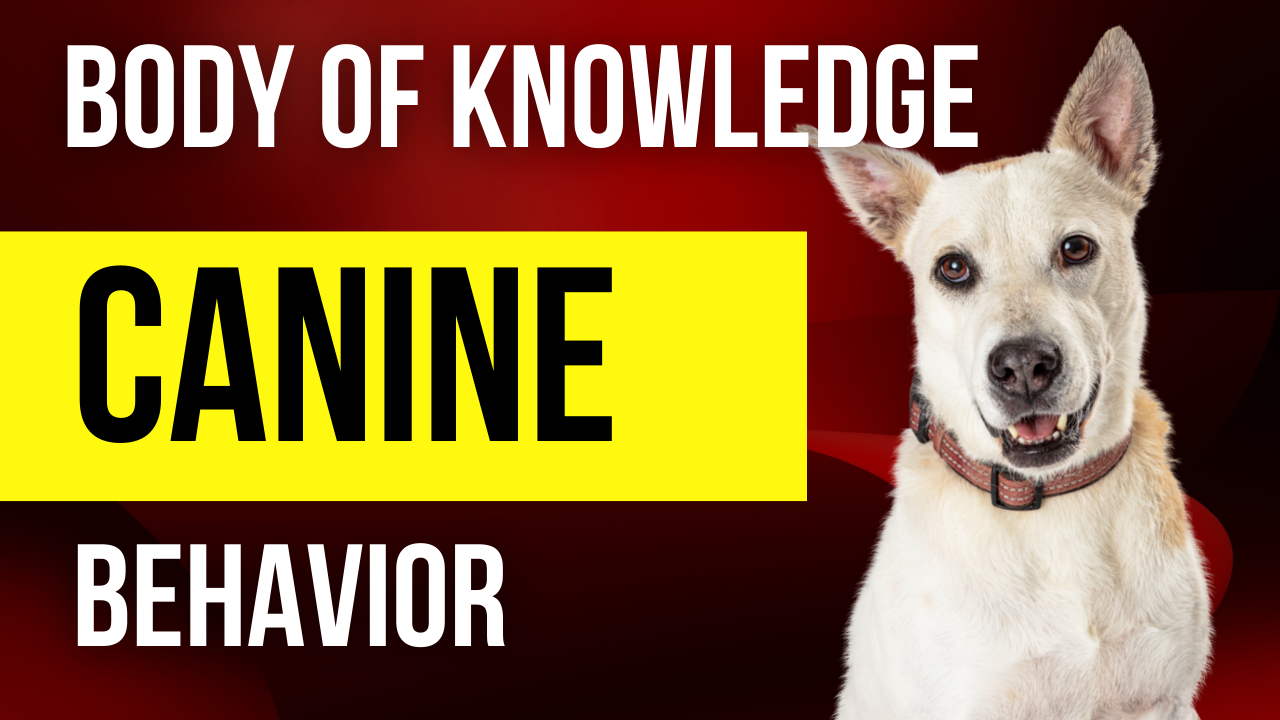 Body of Knowledge | Canine Behavior - Alaska Dog Works