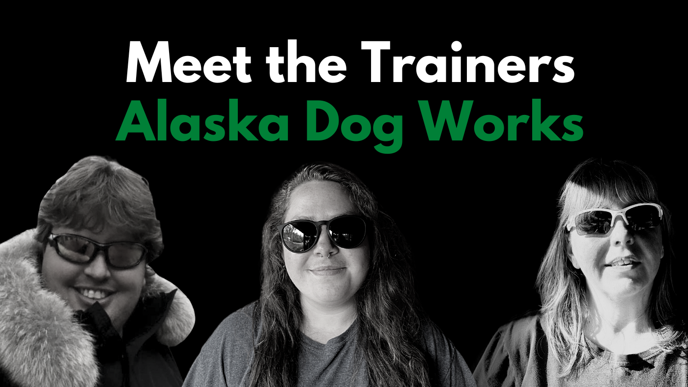 Meet Alaska's Elite Dog Training Team | Alaska Dog Works - Alaska Dog Works