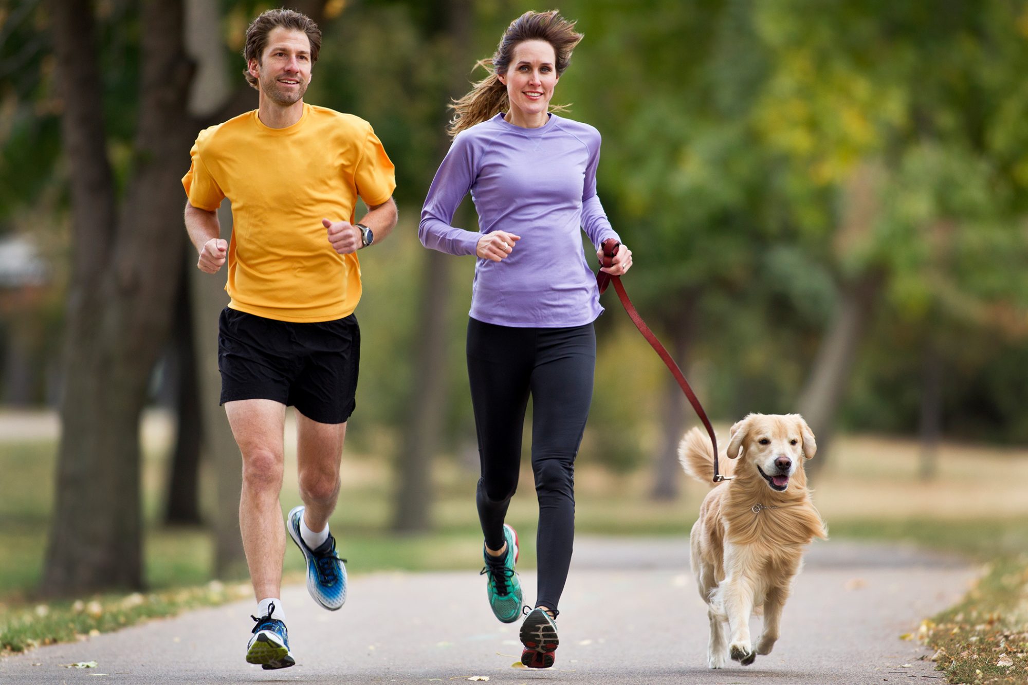10 Active Dog Breeds That Will Help You Stay Fit - Alaska Dog Works