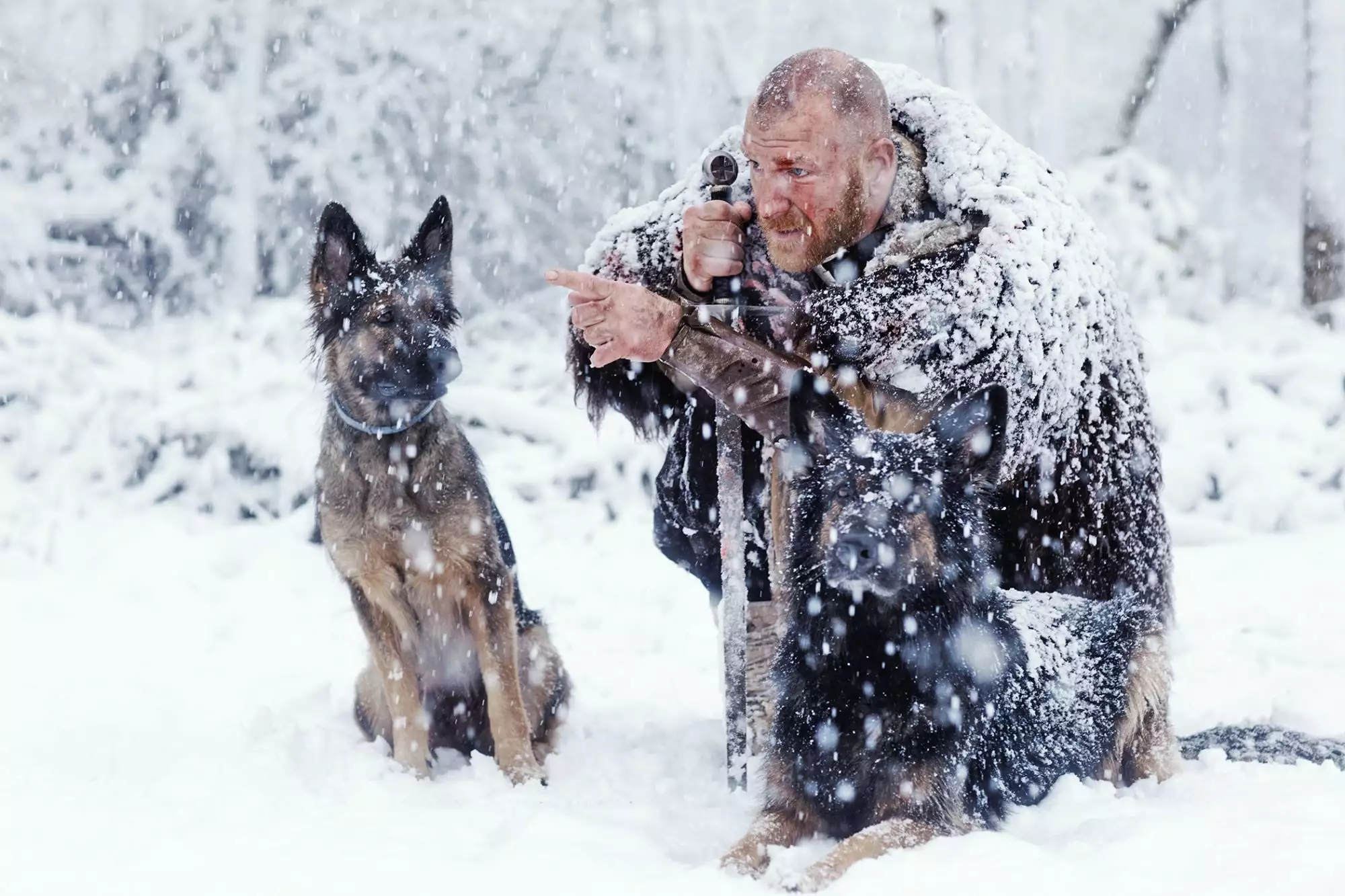 130 Viking Dog Names That Will Pave Your Pup's Road To Valhalla ...
