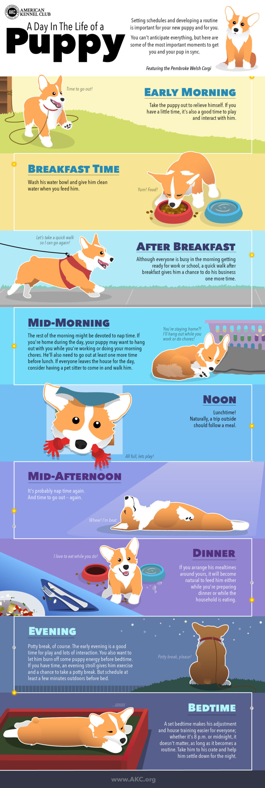 Setting Schedules and Developing a Routine for Your New Puppy - Alaska ...