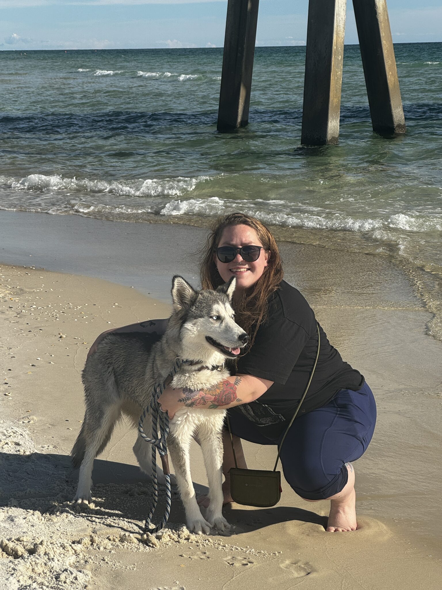 Taking Your Dog to the Beach: Tips & Safety - Alaska Dog Works