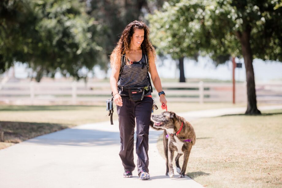 Mastering the Leash: A Guide for Dog Owners Struggling with Walking ...