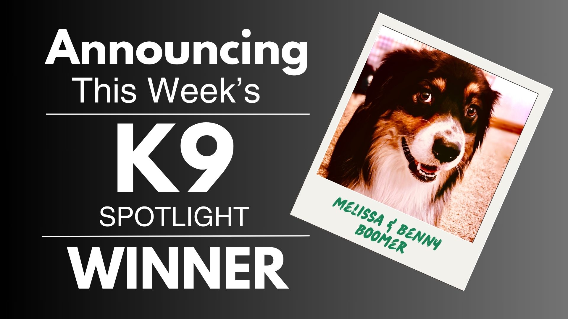 K9 Spotlight: Melissa and Benny - Alaska Dog Works