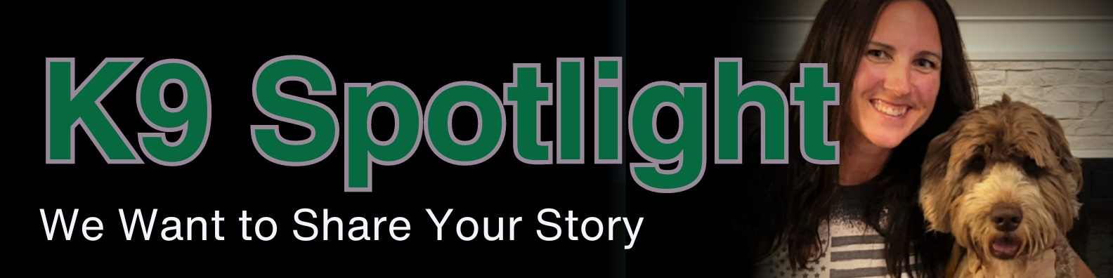 How to Train an English Setter - Alaska Dog Works