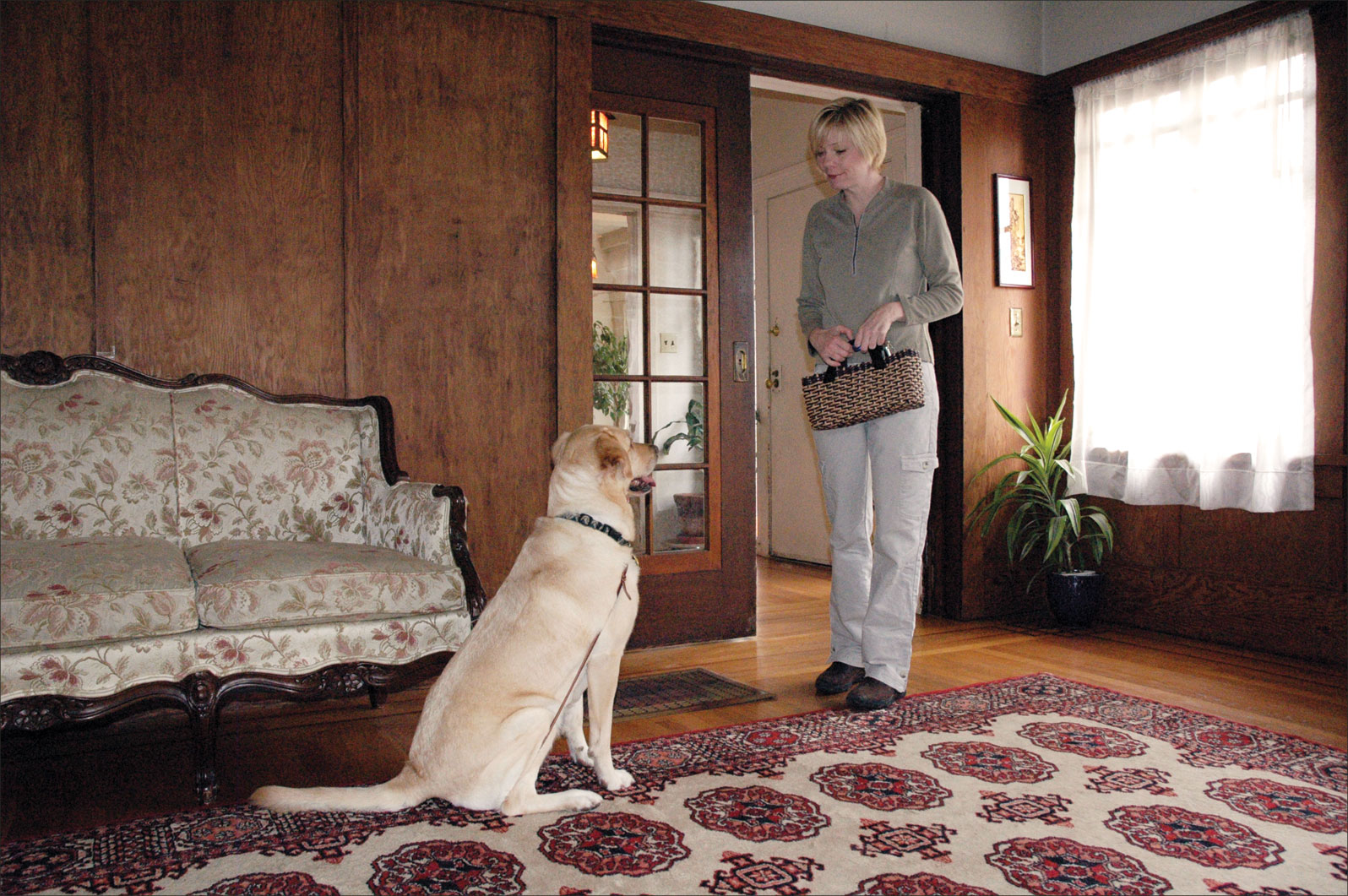 Advantages of Private In-Home Dog Training - Alaska Dog Works