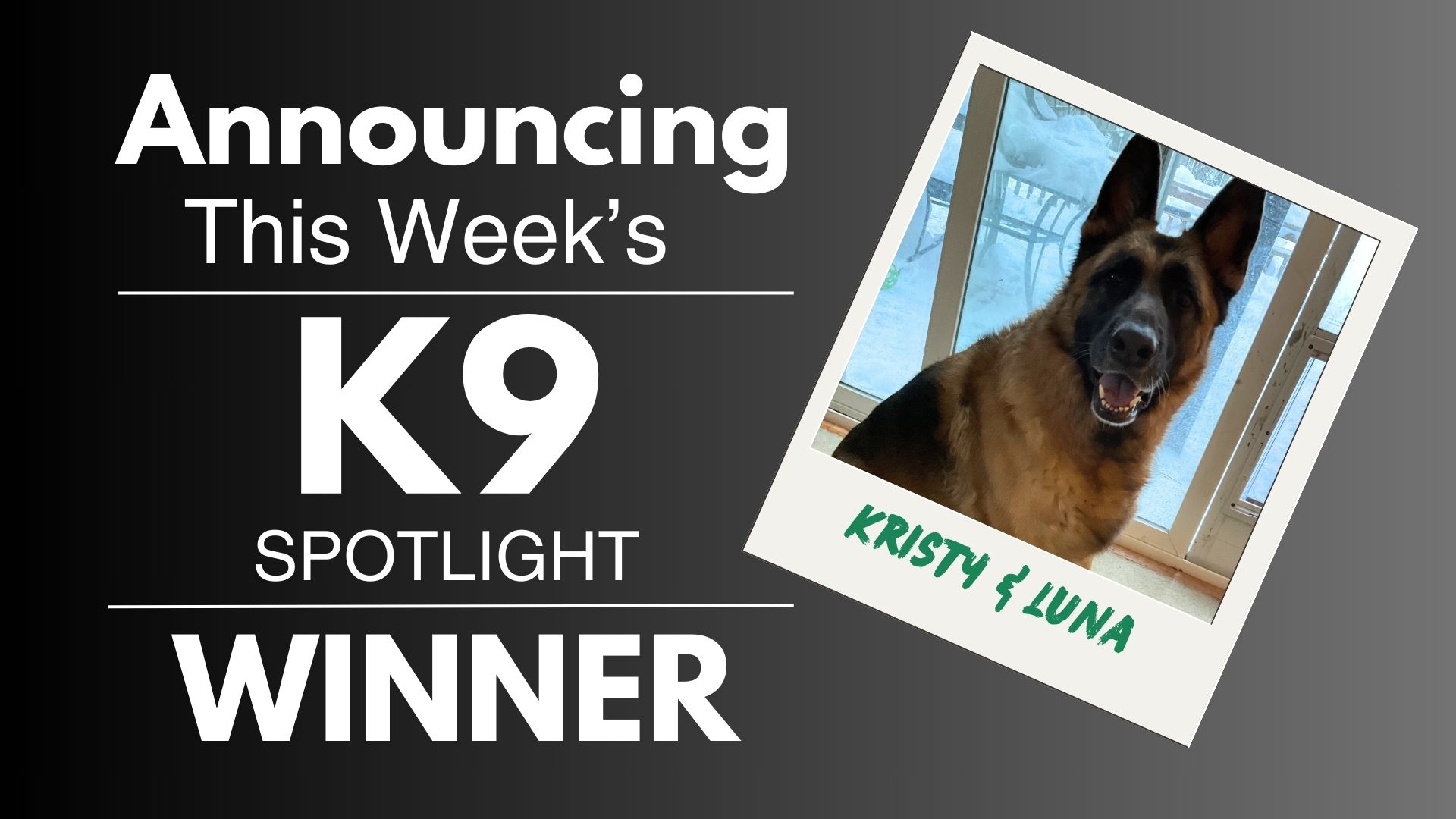 K9 Spotlight: Kristy and Luna - Alaska Dog Works