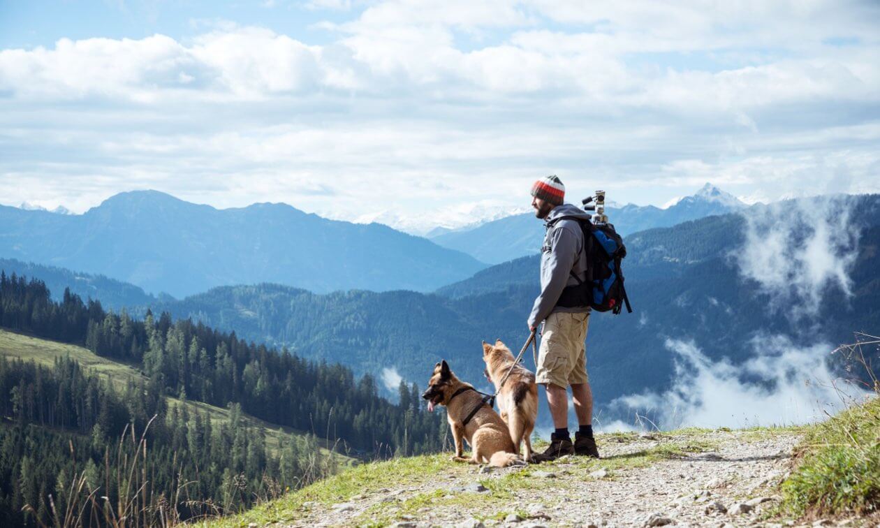 Trail Obedience Skills to Teach Your Dog - Alaska Dog Works