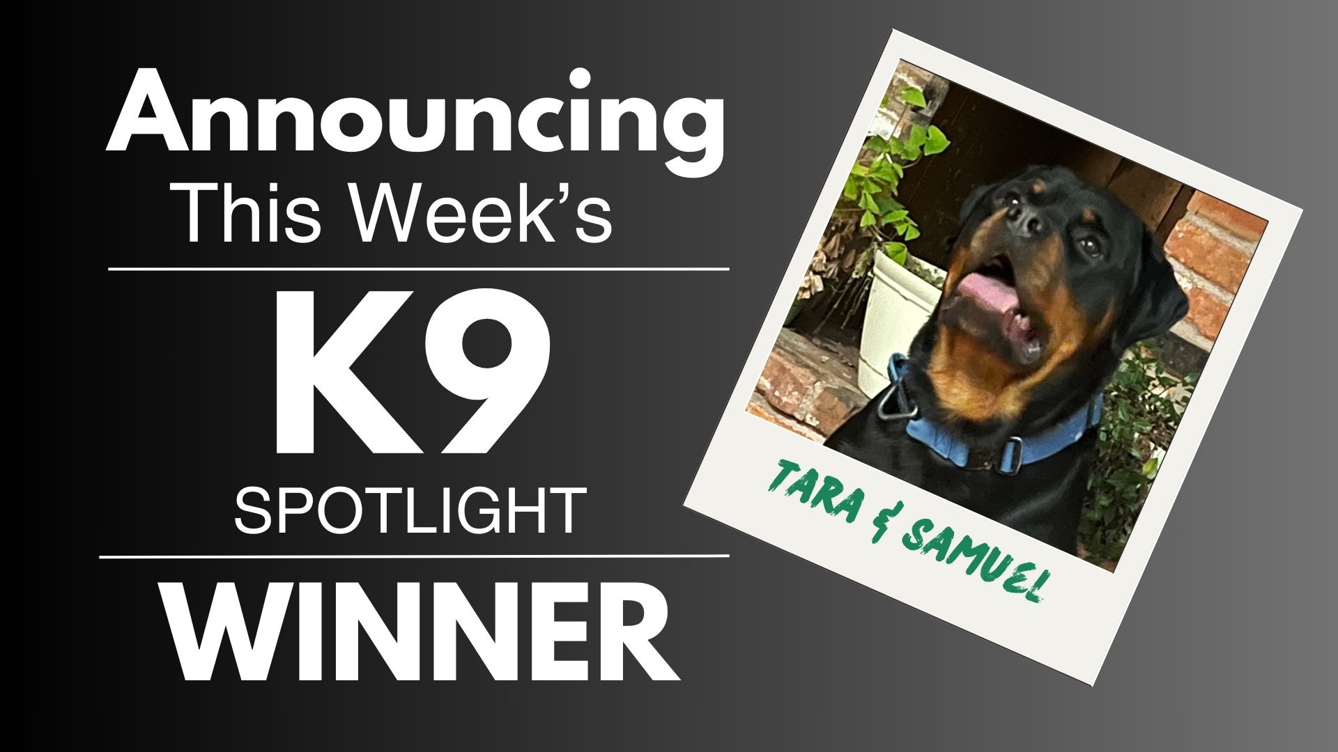 K9 Spotlight: Tara and Samuel - Alaska Dog Works