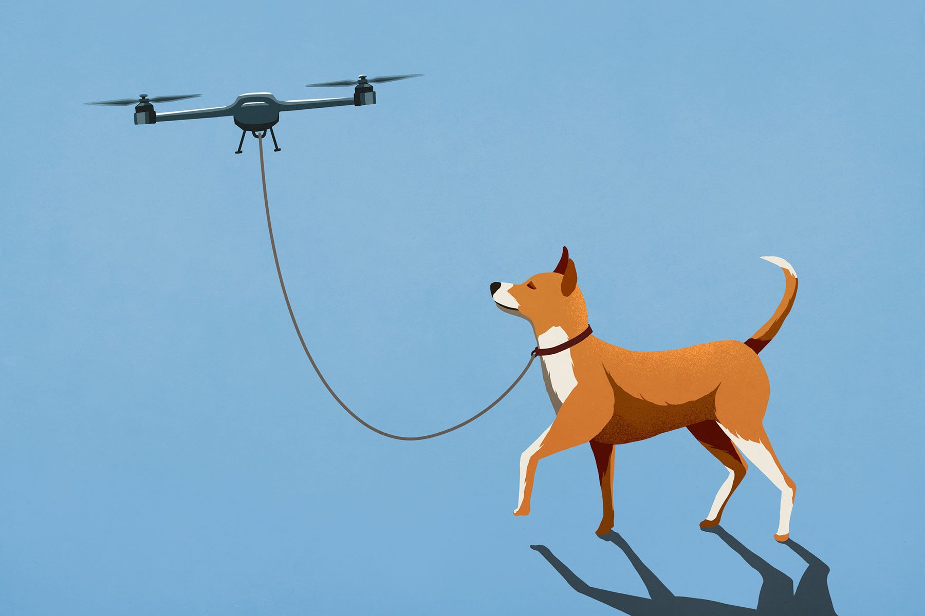 Drone Dog Walker: Has Pet Technology Gone Too Far? - Alaska Dog Works