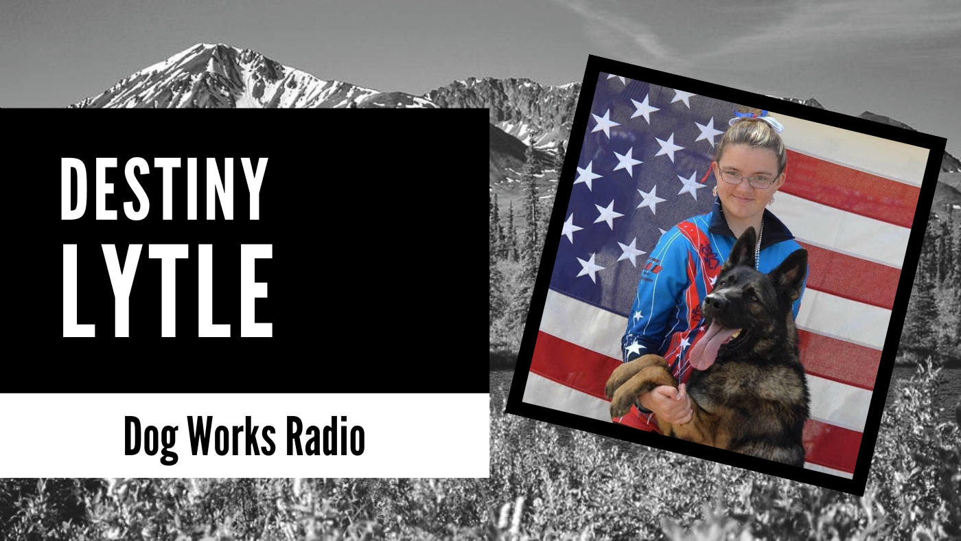 Dock Diving Dogs with Destiny Lytle - Alaska Dog Works