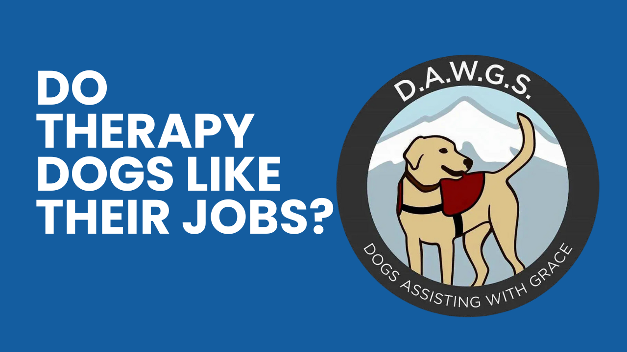 Research Findings on Therapy Dog Stress Levels - Alaska Dog Works
