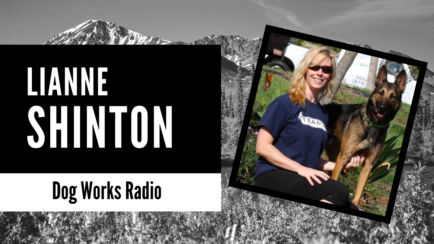 Revolutionizing Dog Training: The Power of Automation - Alaska Dog Works
