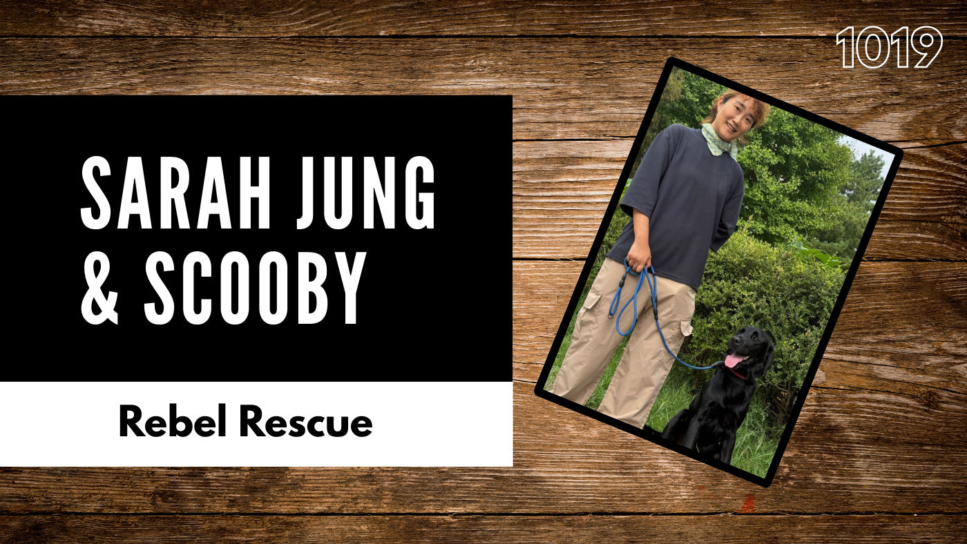 From Seoul to San Francisco: Sarah Jung's Journey in Dog Training ...
